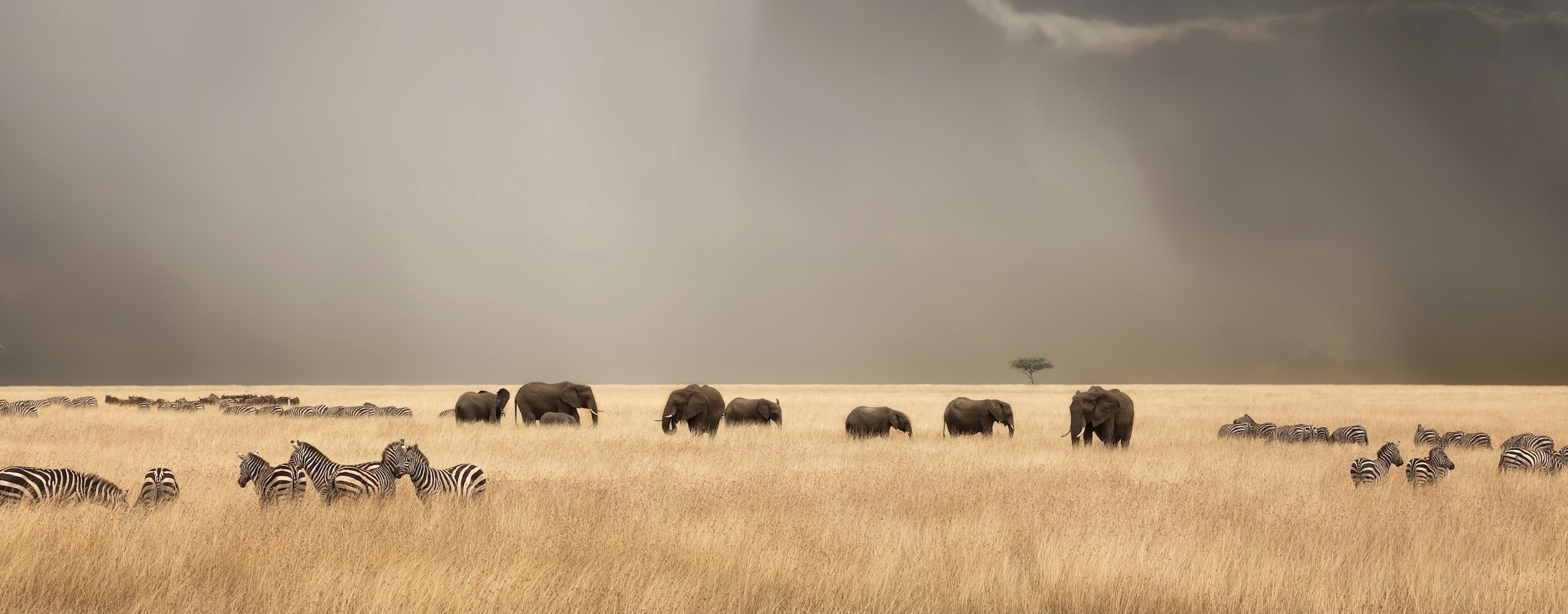 About Us - Swift Travel